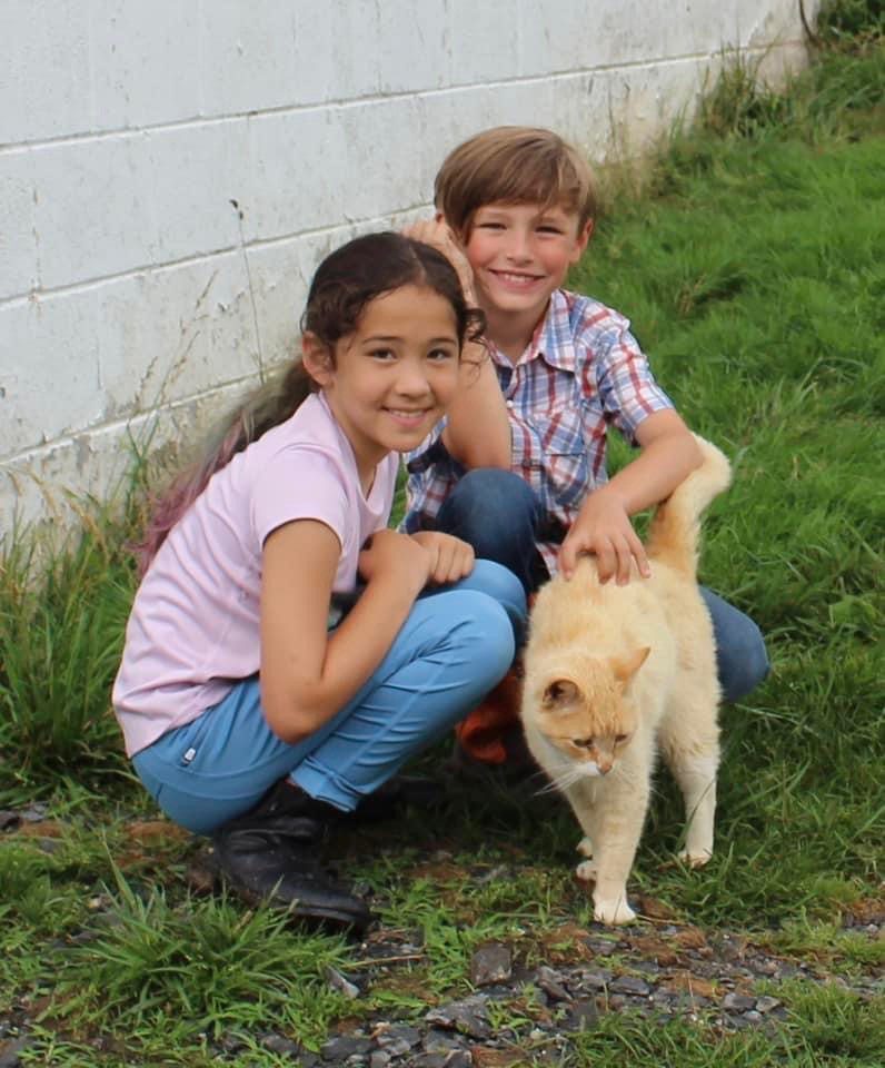 Community Foundation Awards More than $353,000 in Impact Grants - The Community Foundation of ...