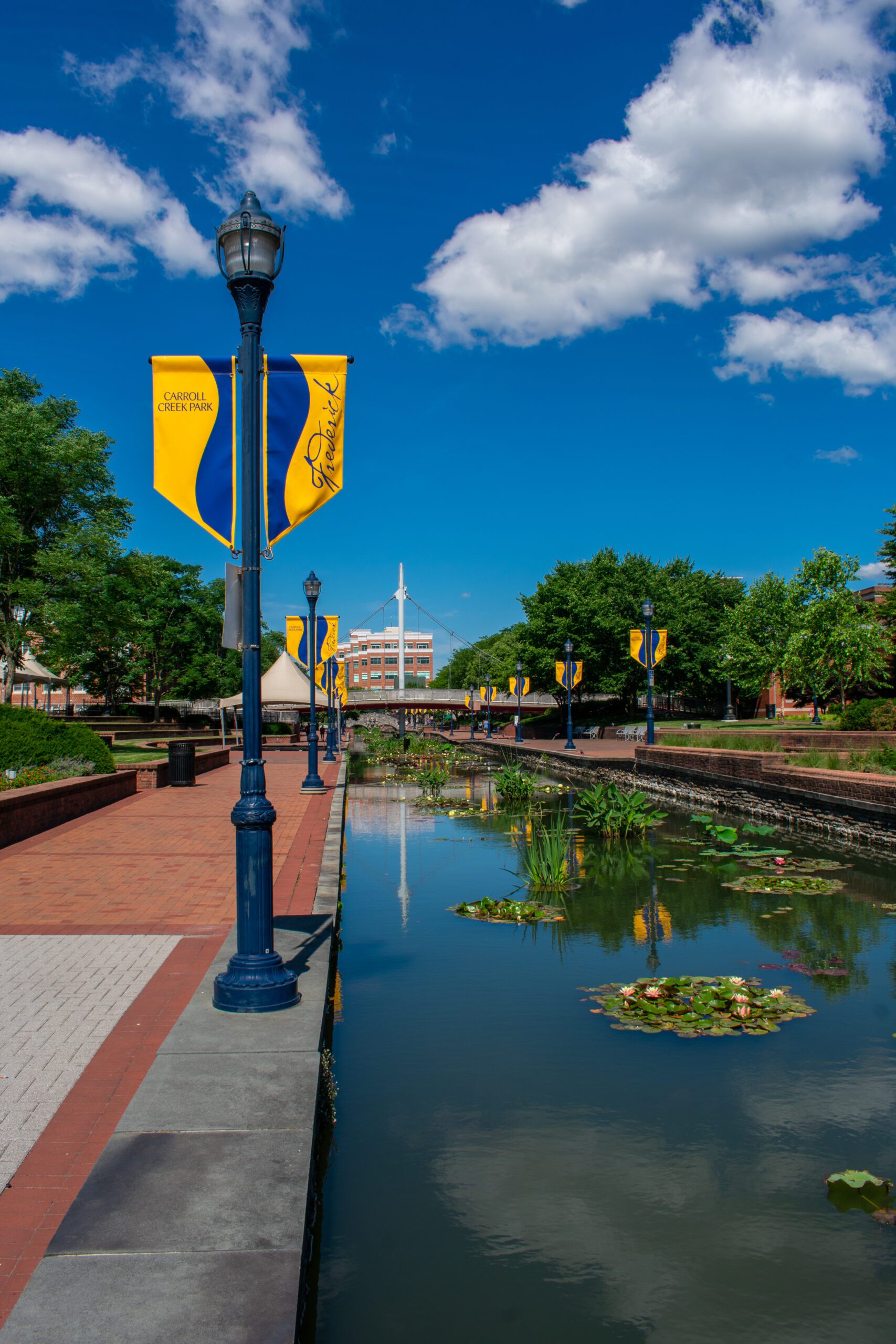 Mayor Ron Young Tribute Sculpture Project Fund - The Community Foundation of Frederick County
